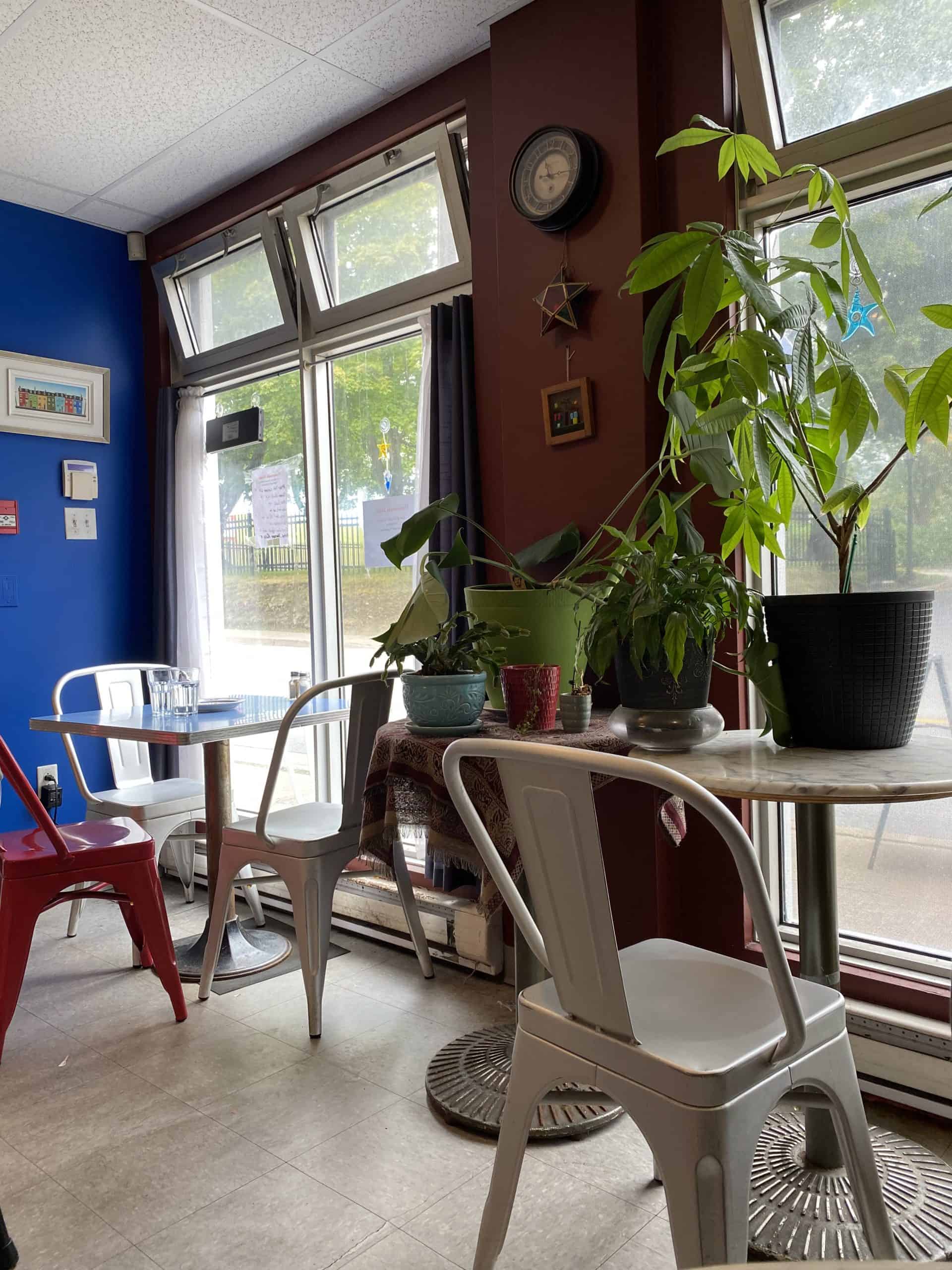 Exploring Top Halifax Coffee Shops – Simple Local Joys