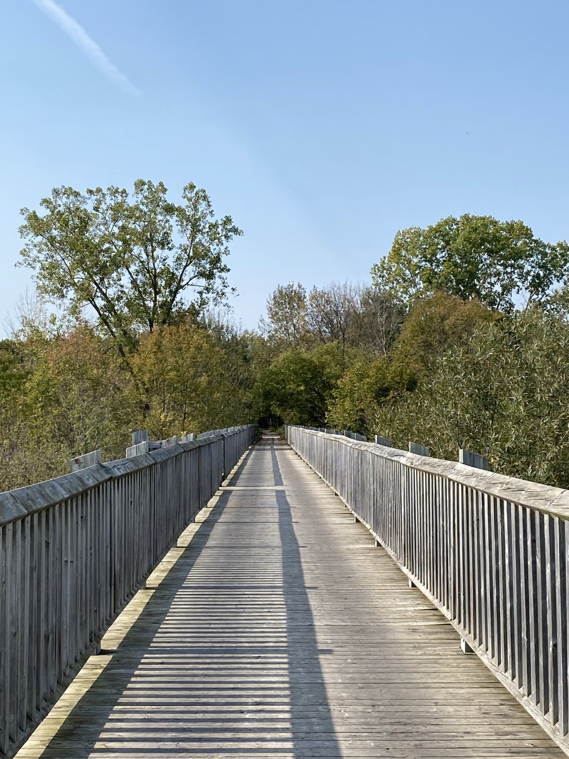 Paisley Ontario Travel Guide – Simple Local Joys